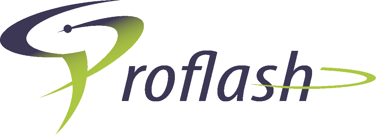 HDMI Adapters – Proflash